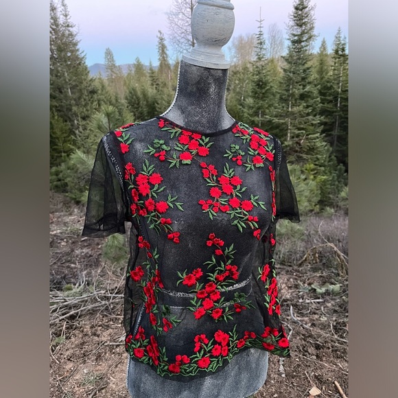 Tops | Sheer Black Top With Embroidered Rose Detailing | Poshmark